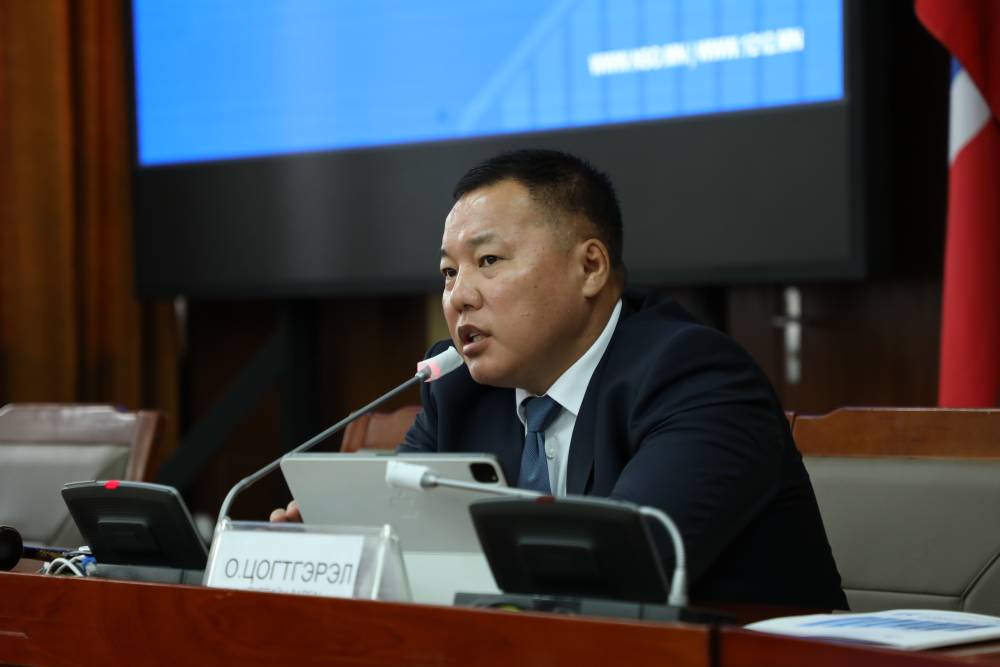 УЛСЫН ИХ ХУРАЛ ДАХЬ АРДЧИЛСАН НАМЫН БҮЛЭГ