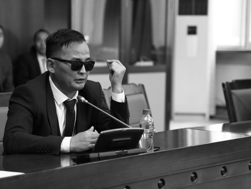 УЛСЫН ИХ ХУРАЛ ДАХЬ АРДЧИЛСАН НАМЫН БҮЛЭГ