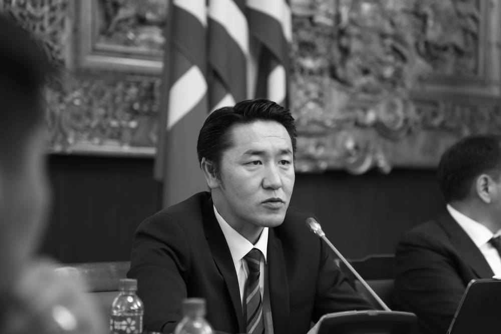 УЛСЫН ИХ ХУРАЛ ДАХЬ АРДЧИЛСАН НАМЫН БҮЛЭГ